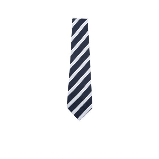 BLUE SCHOOL TIE - South West Schoolwear
