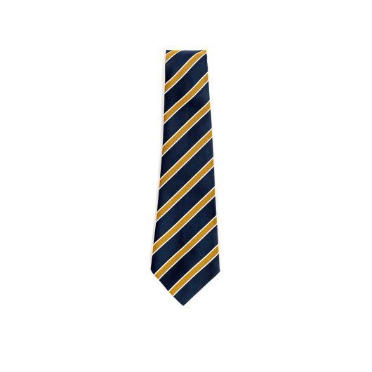 BLUE SCHOOL TIE - South West Schoolwear